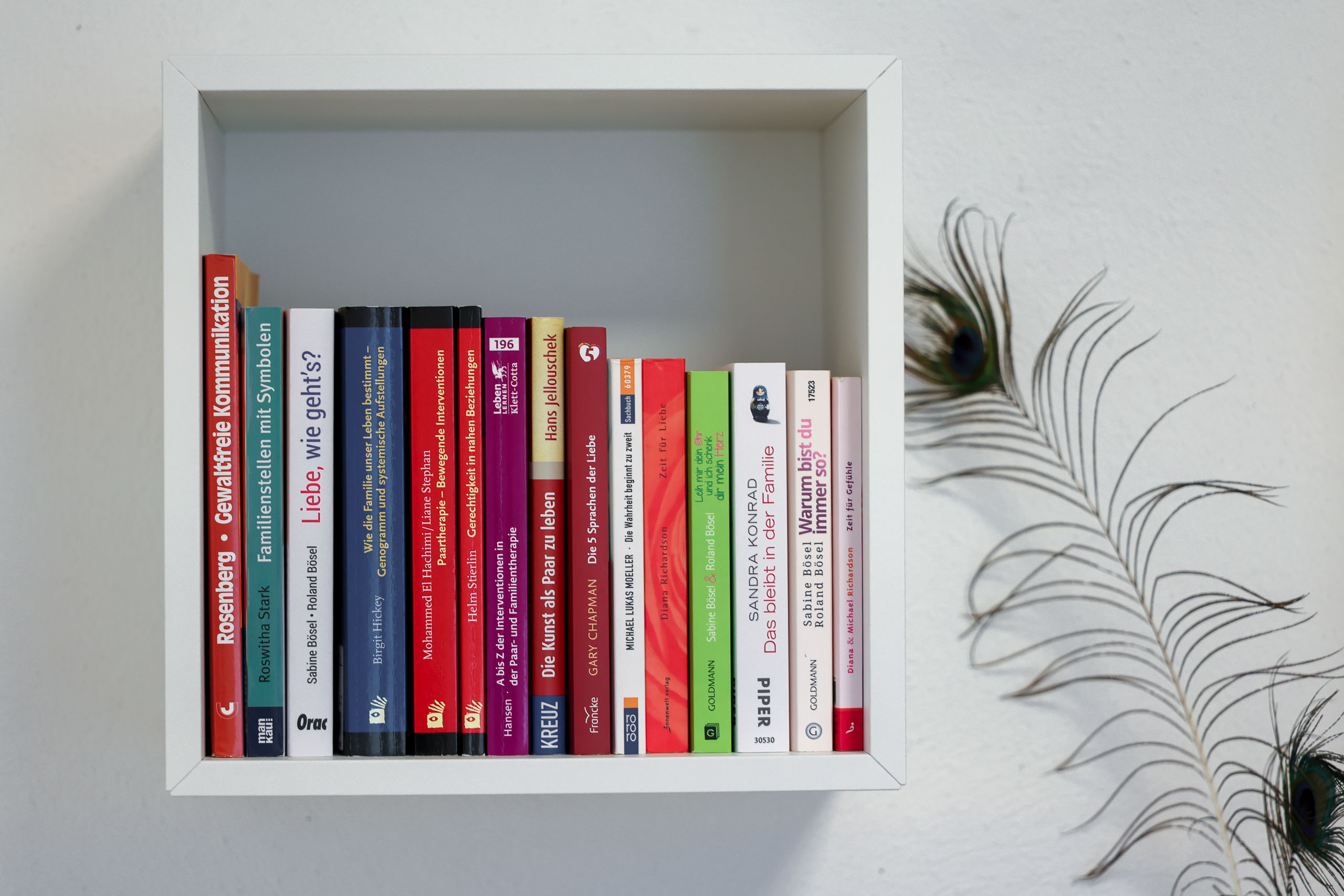 Familienspezifische Themen – Psychotherapie bei Sandra Ebner